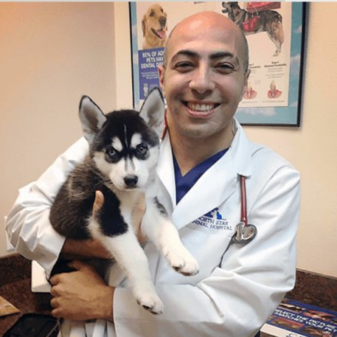 Veterinarian In San Antonio, TX | North Star 410 Animal